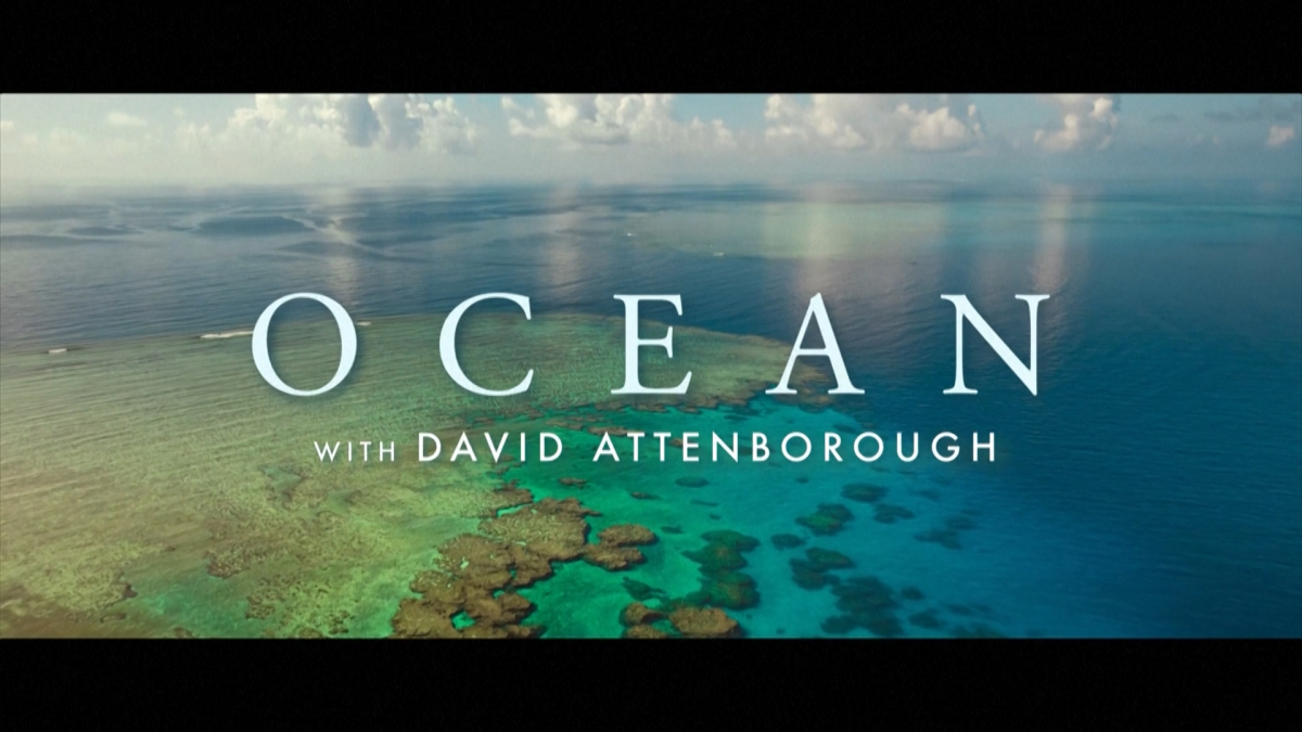 Il trailer del documentario per la difesa degli oceani: Ocean with ...